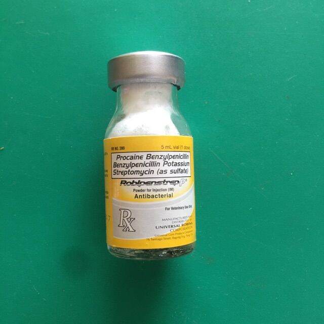 Robipenstrep P Antibacterial 5ml vial | Lazada PH