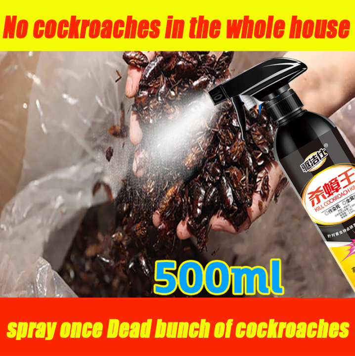 Spray a bunch of cockroaches to kill cockroaches spray, the whole ...