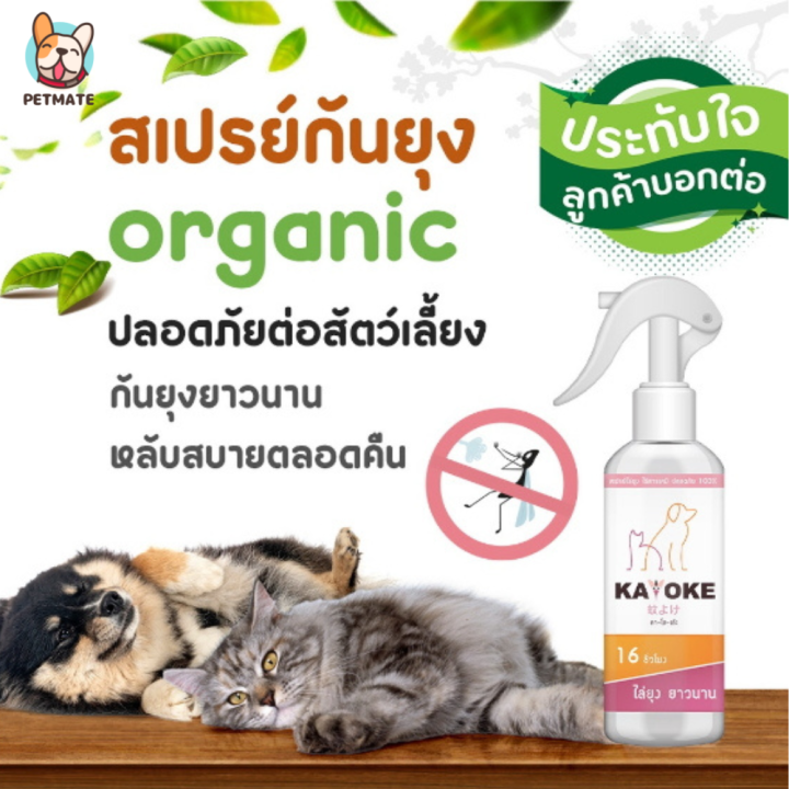Kayoke สเปรย์กันยุง ปกป้องนาน 16 ชั่วโมง สูตรออแกนิค จากสารสกัด ใบสะเดา ...