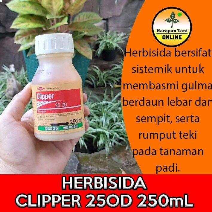 Clipper 25 OD 250mL | Herbisida Sistemik Persawahan, Sawit, dll | Pembasmi Gulma | Lazada Indonesia