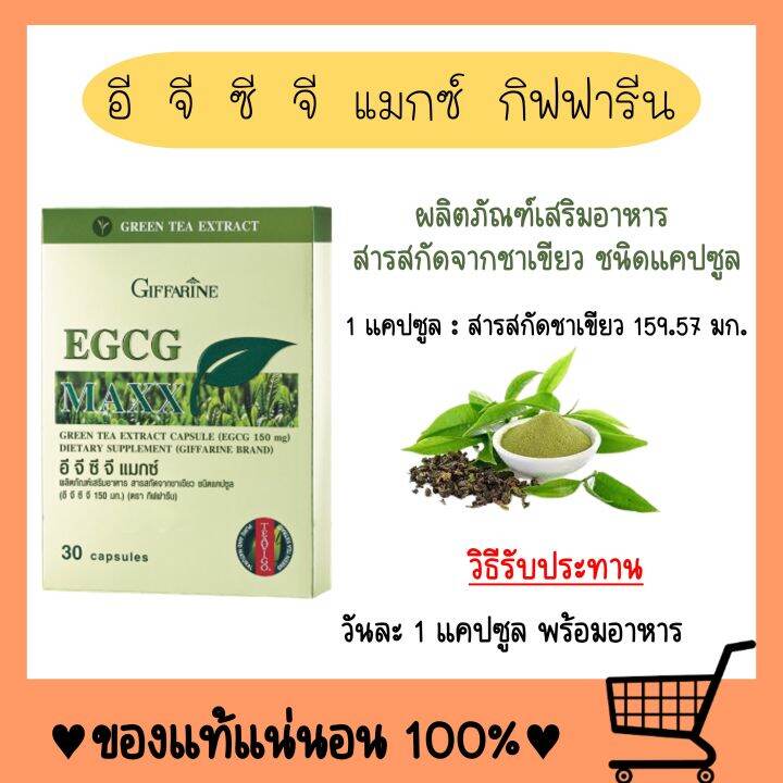 อีจีซีจี EGCG , อีจีซีจี แมกซ์ EGCG Maxx ชาเขียวแคปซูล ชาเขียวสกัด ชาเขียว ชาเขียวอัดเม็ด ...
