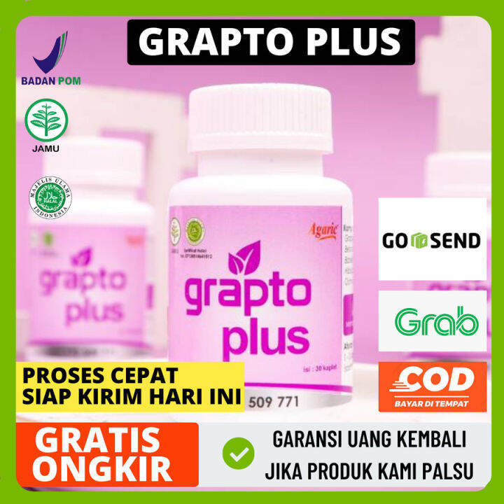 GRAPTO plus Obat Wasir Luar Dalam Obat Herbal Ambeien Sangat Ampuh ...