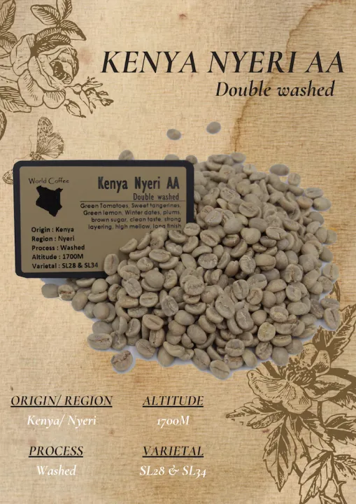พร้อมส่ง เมล็ดกาแฟดิบ Kenya Nyeri AA washed process / สารเมล็ดกาแฟนอก ...