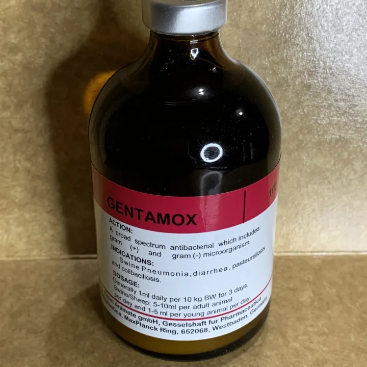 gentamox 100ml | Lazada PH