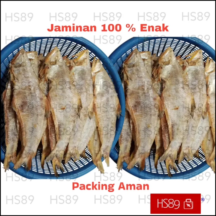 IKAN ASIN BIANG KHAS BENGKALIS 250 gr | Lazada Indonesia