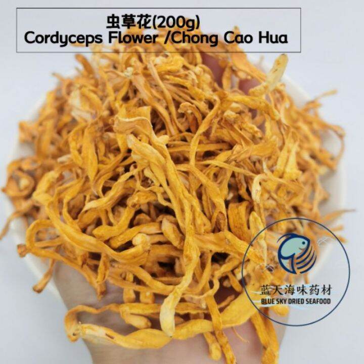 Cordyceps Flower 虫草花 (200g) | Lazada