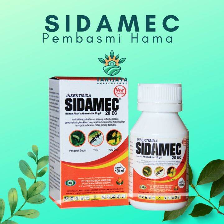 Obat Pembasmi hama kutu serangga pada tanaman cabai dan padi Sidamec 20 ...
