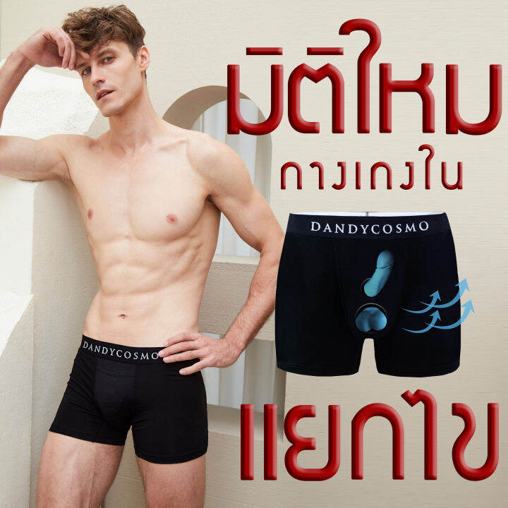 กางเกงใน ผู้ชาย DANDY COSMO DOUBLE POUCH UNDERWEAR โปร 3 ตัว 888 | Lazada.co.th