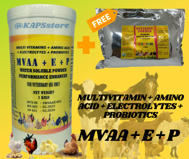 MULTIVITAMIN + AMINO ACID + ELECTROLYTES + PROBIOTICS MVAA + E + P 1 ...