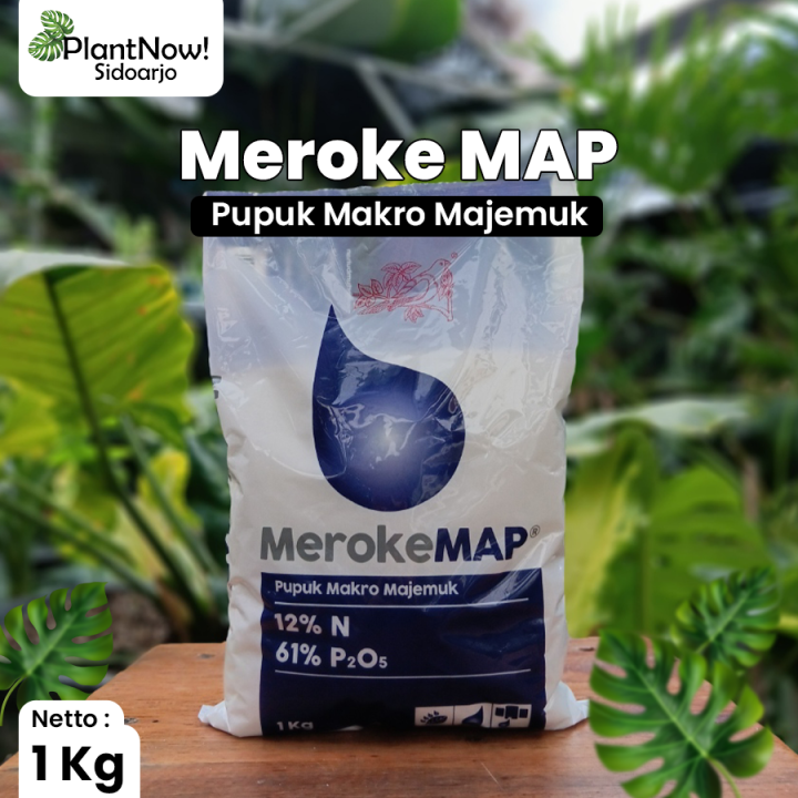Pupuk Meroke MAP - Kemasan 1kg | Lazada Indonesia
