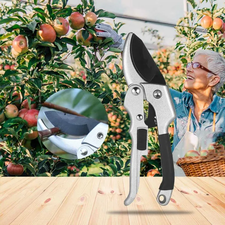 Gunting Taman Ranting Dahan Pohon Kebun Bunga Rumput Taman Garden ...