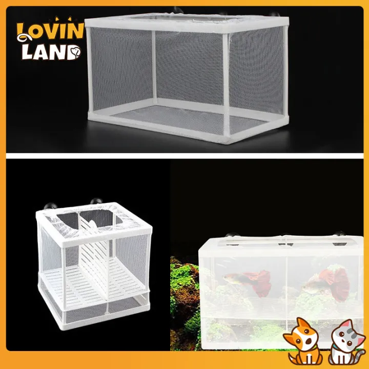 Lovinland Aquarium Hatchery Net Fish Breeder Isolation Box Fry Hatching ...