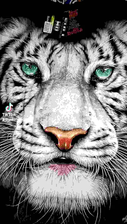 White Tiger / Glow in The Dark / Full HD / Rock Chang Brand | Lazada PH