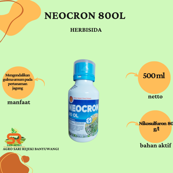 NEOCRON 80OL 500ML HERBISIDA SELEKTIF JAGUNG | Lazada Indonesia