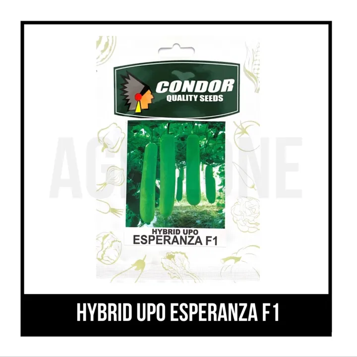 CONDOR Seeds Hybrid Upo Esperanza F1 | Lazada PH