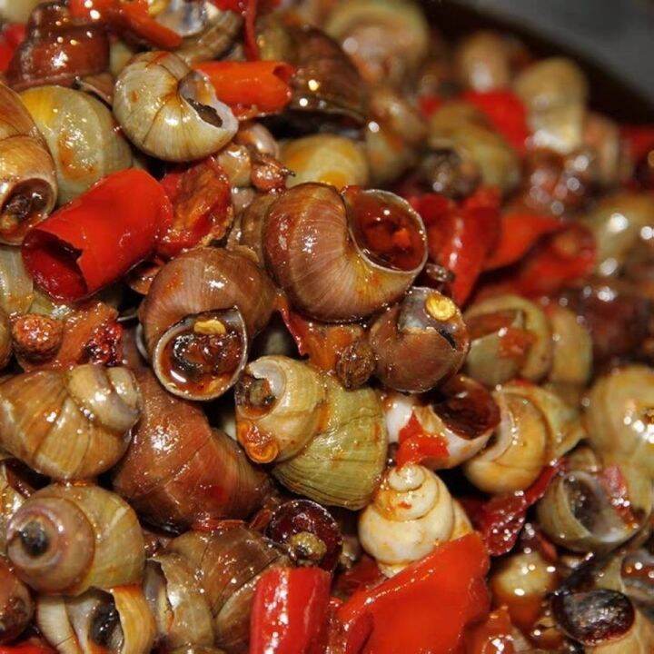 ZEJUN Spicy Snail Spicy Seafood Instant Cooked Food 400g | Lazada PH