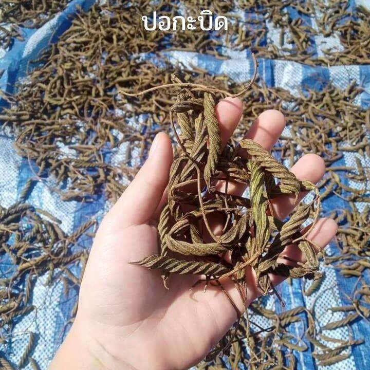 ปอกะบิด ใหม่ คุณภาพดี 100% ลดน้ำตาลในเลือด ลดความดัน ชาปลายมือ-เท้า ชา ...