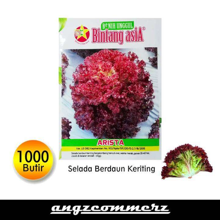 Benih BINTANG ASIA Selada Merah Arista 1000 Seeds | Lazada Indonesia