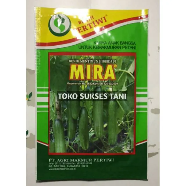 Benih mentimun hibrida F1 MIRA dari PT.AGRI MAKMUR PERTIWI. isi 25gram ...