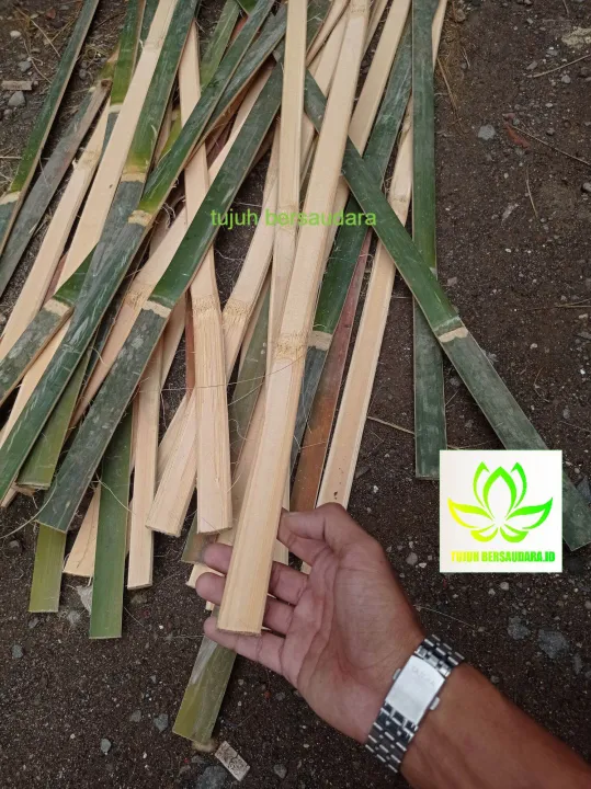 5 batang bilah bambu pagar tanaman panjang 1 meter | Lazada Indonesia
