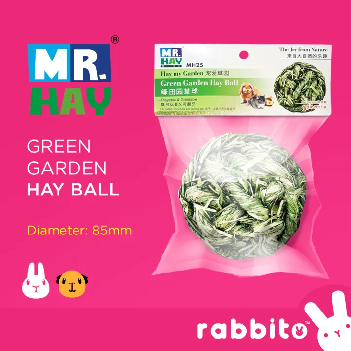 Mr. Hay Green Garden Hay Ball Toy for rabbits, guinea pigs and small ...