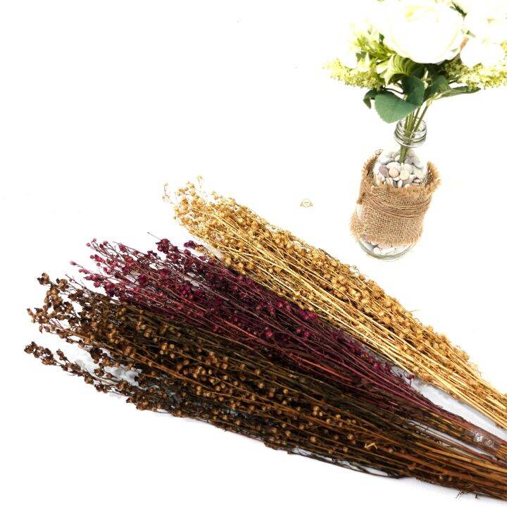 BUNGA PIKOK RUSTIC / DRIED PIKOK | Lazada Indonesia