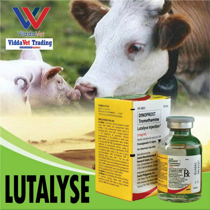 Lutalyse 30ml Per mL: Dinoprost tromethamine 5 mg for pig lutalyze ...
