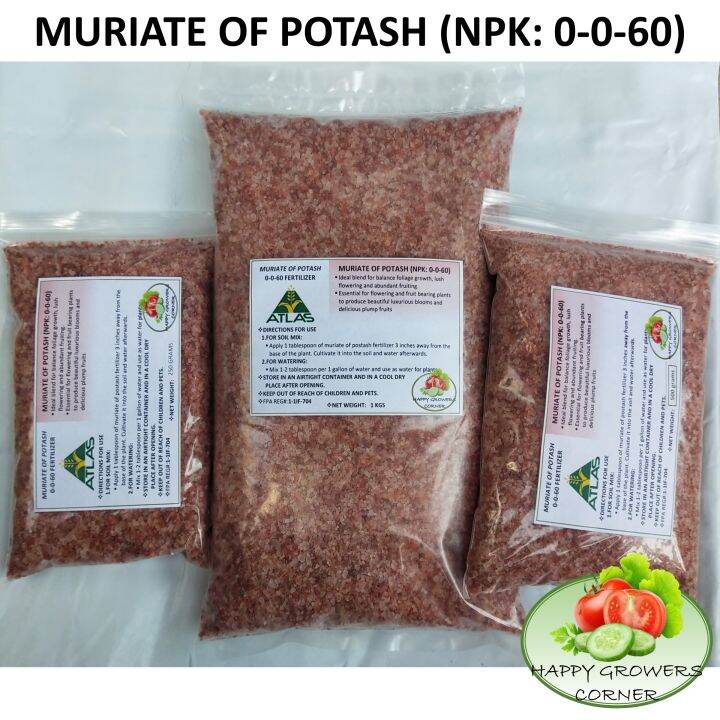 Muriate of Potash 0-0-60 Potassium Fertilizer | Lazada PH