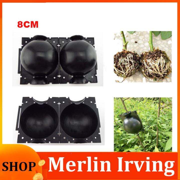 Merlin Irving Shop 8cm Fruit Tree Root Box Plant Rooting Ball Case ...