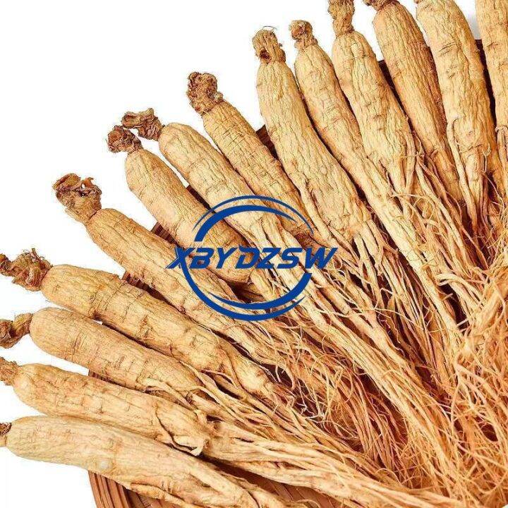 【XBYDZSW】【Fast Delivery From Stock】吉林长白山干人参 Dried Ginseng In Changbai ...
