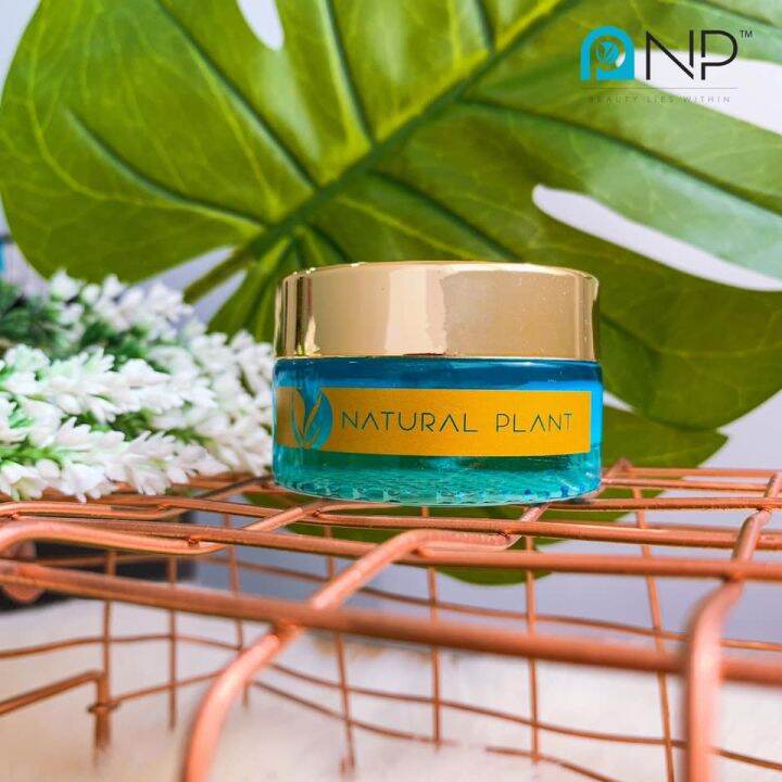 NP Intense Repairing Cream 30g | Lazada