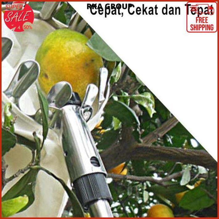 Alat Pemetik Buah/Alat Bantu Pengambil Buah Dari Pohon/Fruit Picker 4M ...