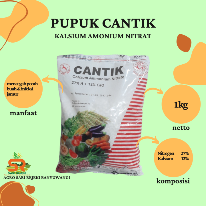 PUPUK CANTIK KALSIUM AMONIUM NITRAT 1KG | Lazada Indonesia