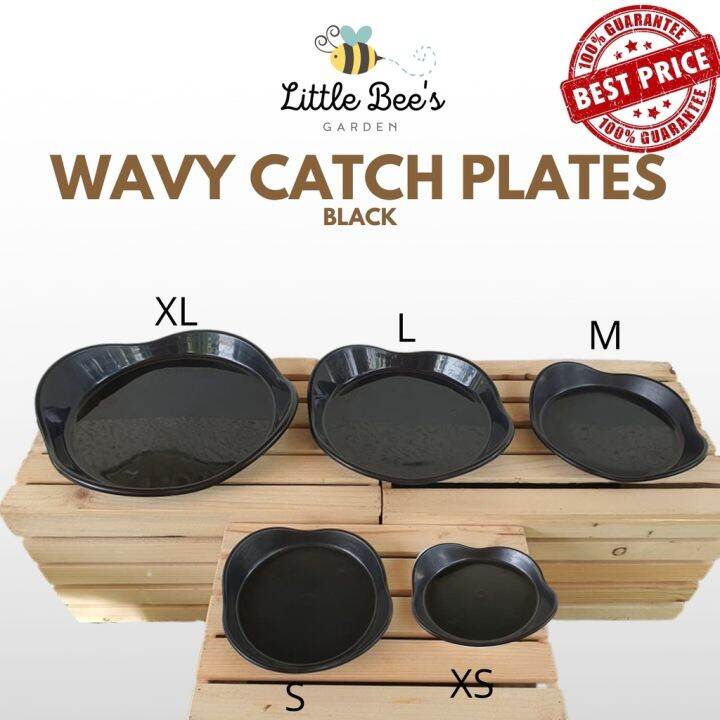 BLACK Classy Wavy Catch Plates [Little Bee's Garden] | Lazada PH