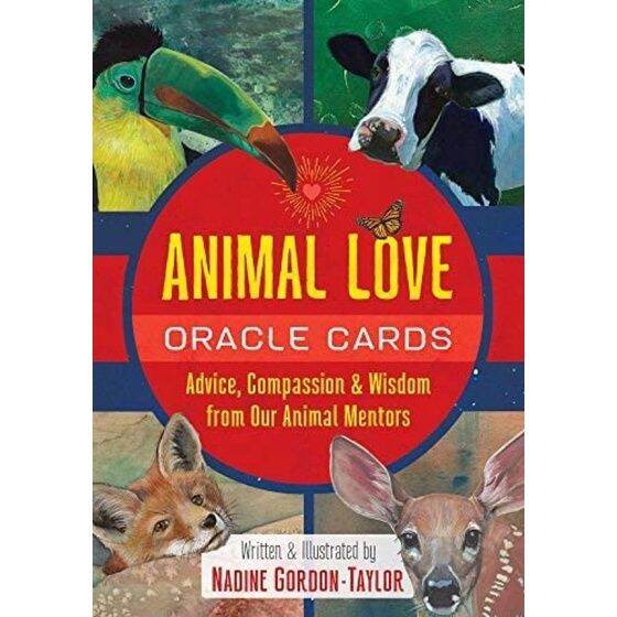 [ไพ่แท้-พร้อมส่ง] Animal Love Oracle Cards: Advice, Compassion ไพ่ทาโร ...
