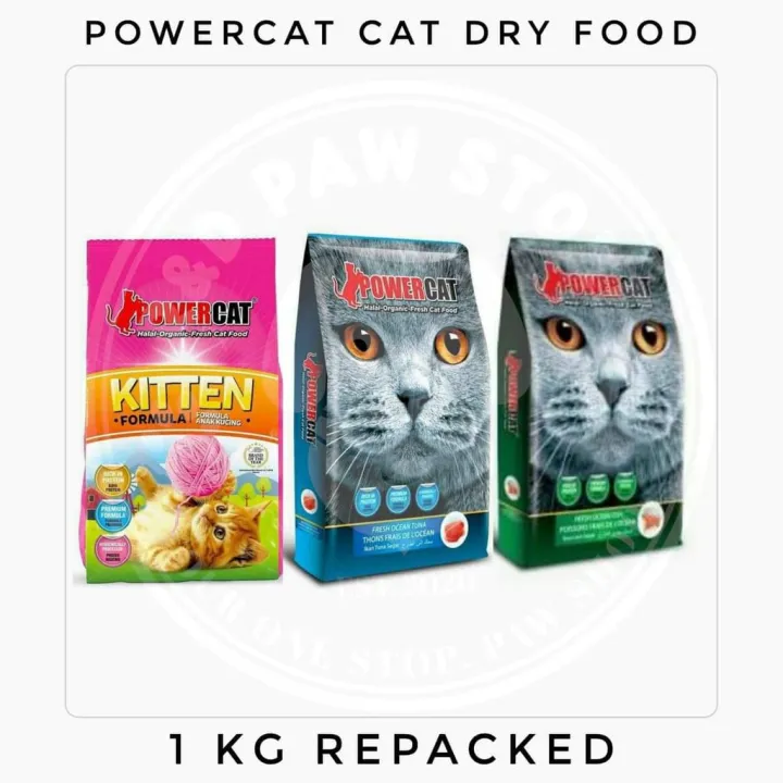 Power Cat Adult Kitten Dry Cat Food 1KG | Lazada PH