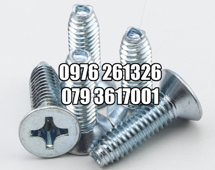 BULONG TỰ REN ĐẦU BẰNG - VÍT TỰ REN ĐẦU BẰNG - TỰ TARO ĐẦU BẰNG _BỊCH ...