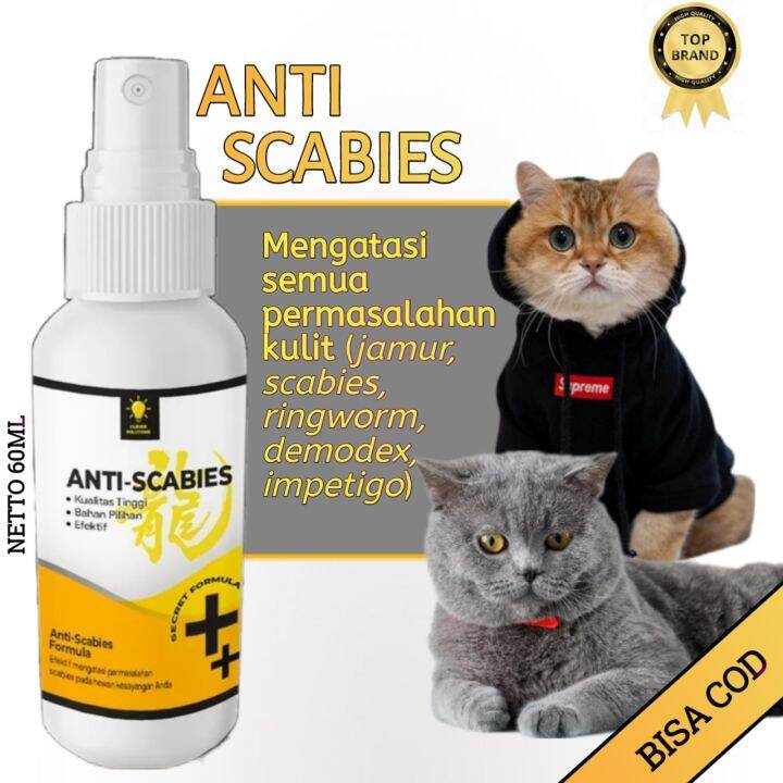 ANTI SCABIES Obat Jamur Kucing | Obat Gatal Kucing | Obat Kutu untuk ...