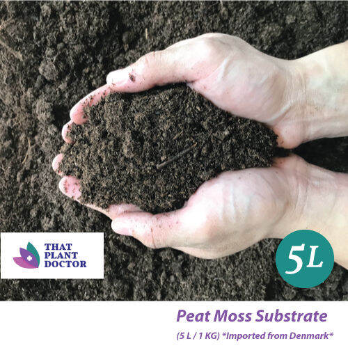 Peat Moss Substrate (Fine) (5L) | Lazada