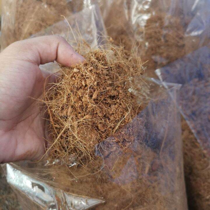 BnG Shop 1L and 7L Cocopeat Fibre / Sabut Kelapa Fiber / Coir / Gentian ...
