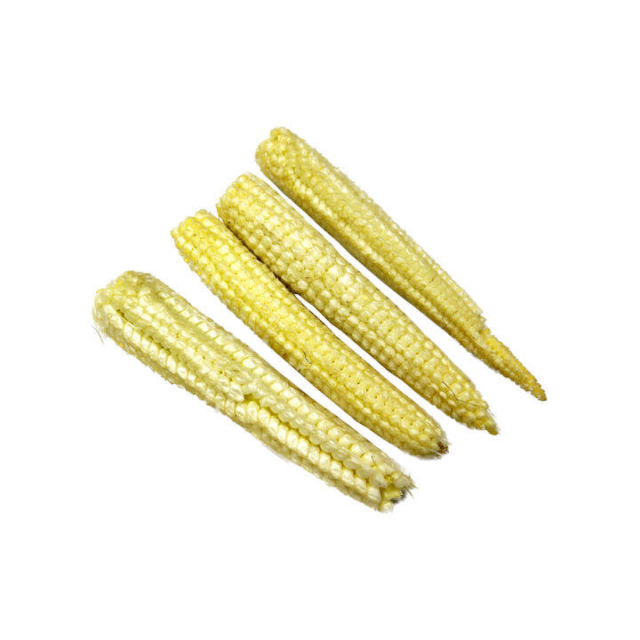 Young Corn (100g) Fresh Harvest | Lazada PH