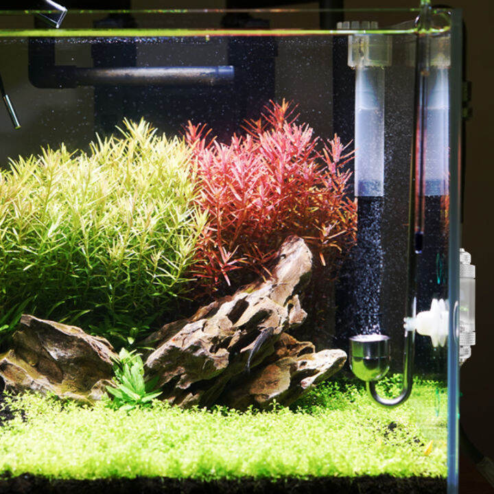 Qifull New Carbon Dioxide Bubble Counter Double Head Water Plant ...