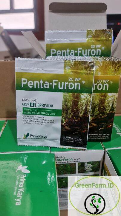Herbisida PENTA FURON 20WP 5 Gram | Lazada Indonesia