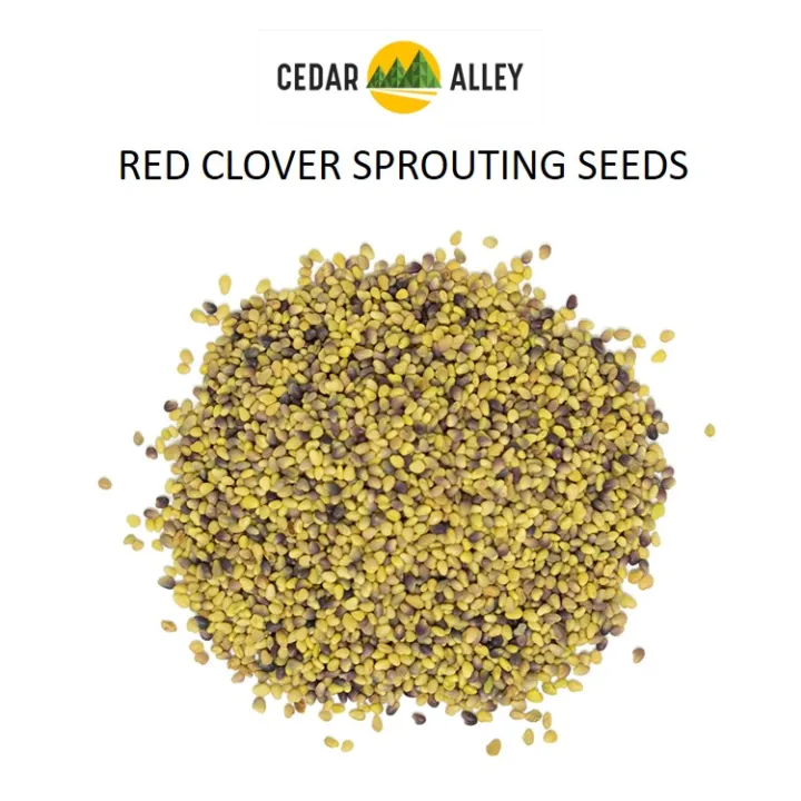 Clover Sprouting Seeds 50g | Lazada PH