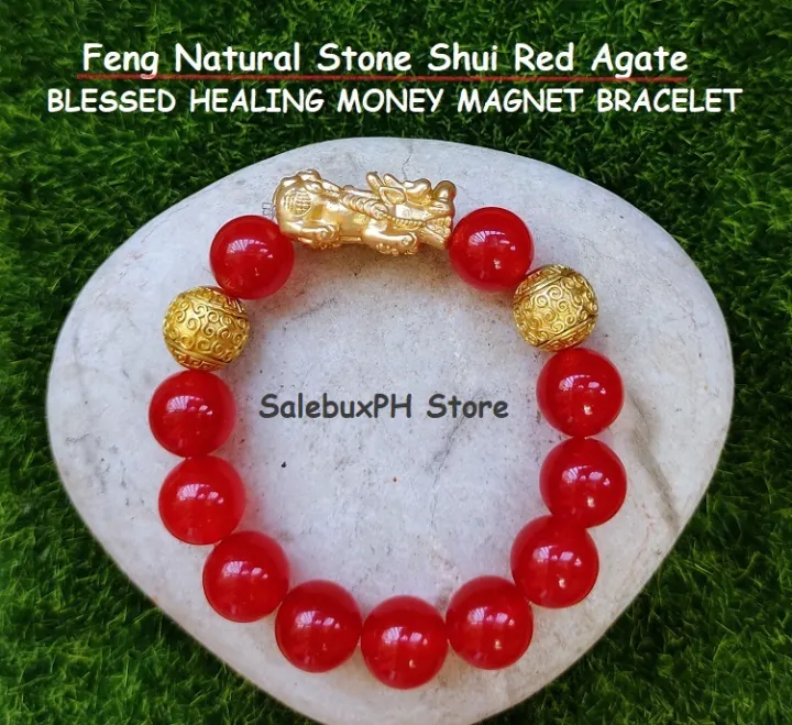 Feng Shui Ruby Rubellite Red Agate Blessed Healing Money Magnet Pixiu ...