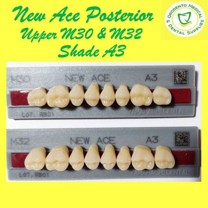 New Ace Acrylic Resin Teeth Upper Posterior M28,M30 & M32 Shade A3 sold ...
