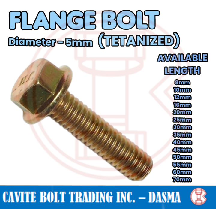 FLANGE BOLT M5/5mm (TETANIZED) 10PCS | Lazada PH