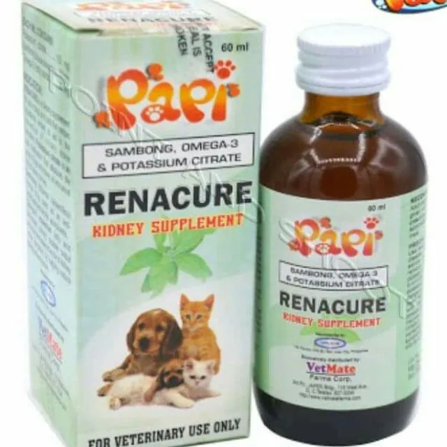 Papi Renacure Kidney Supplement for Dogs and Cats | Lazada PH