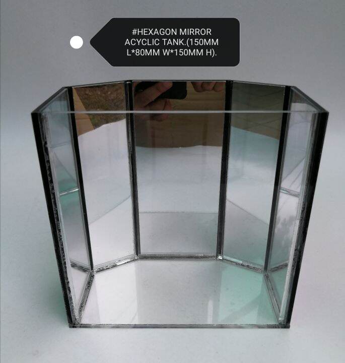 Hexagon Acrylic Mirror Back Betta Fish Aquarium Tank | Lazada