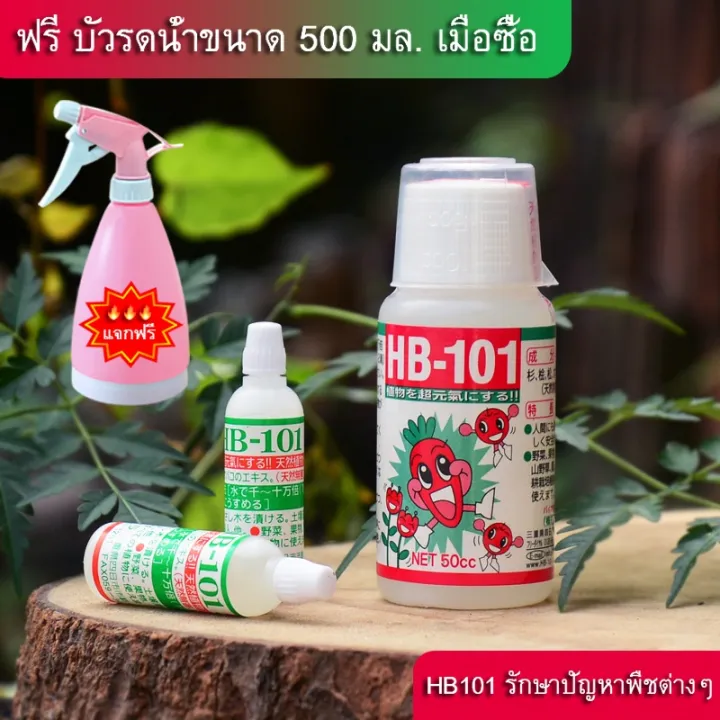 🔥สินค้าขายดี🔥HB101 ขนาด 6 - 50CC (นำเข้าจากญี่ปุ่น) โปรโมชั่น：ซื้อ ...
